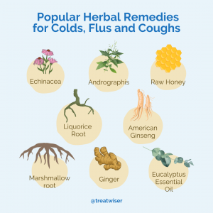 Top 8 Herbal Remedies for Colds, Flu, And Coughs (and How to Take Them ...
