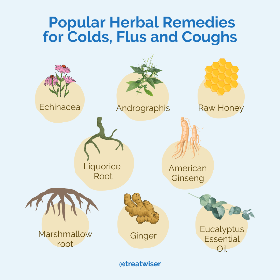 Top 8 Herbal Remedies for Colds, Flu, And Coughs (and How to Take Them ...